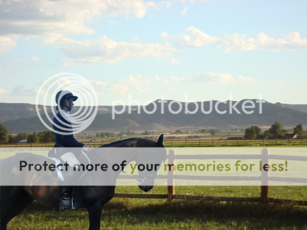 First time using GIMP...whad'ya think? | Page 2 | The Horse Forum